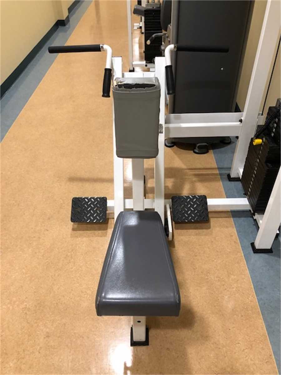 Seated Row Weight Machine Online Government Auctions of Government ...