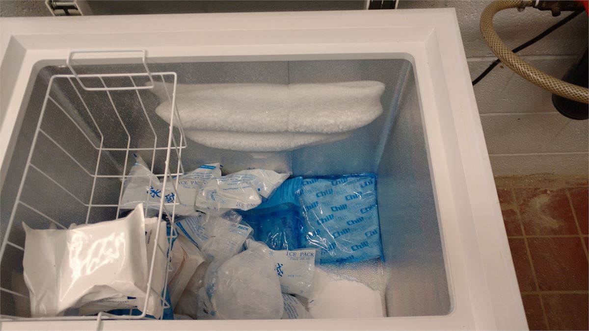 Holiday Manual Defrost Chest Freezer Model LCM050LC Online Government ...